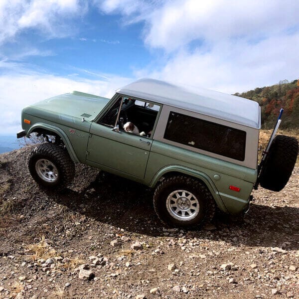 66-77 Bronco 2.5" Performance Package - James Duff Inc.